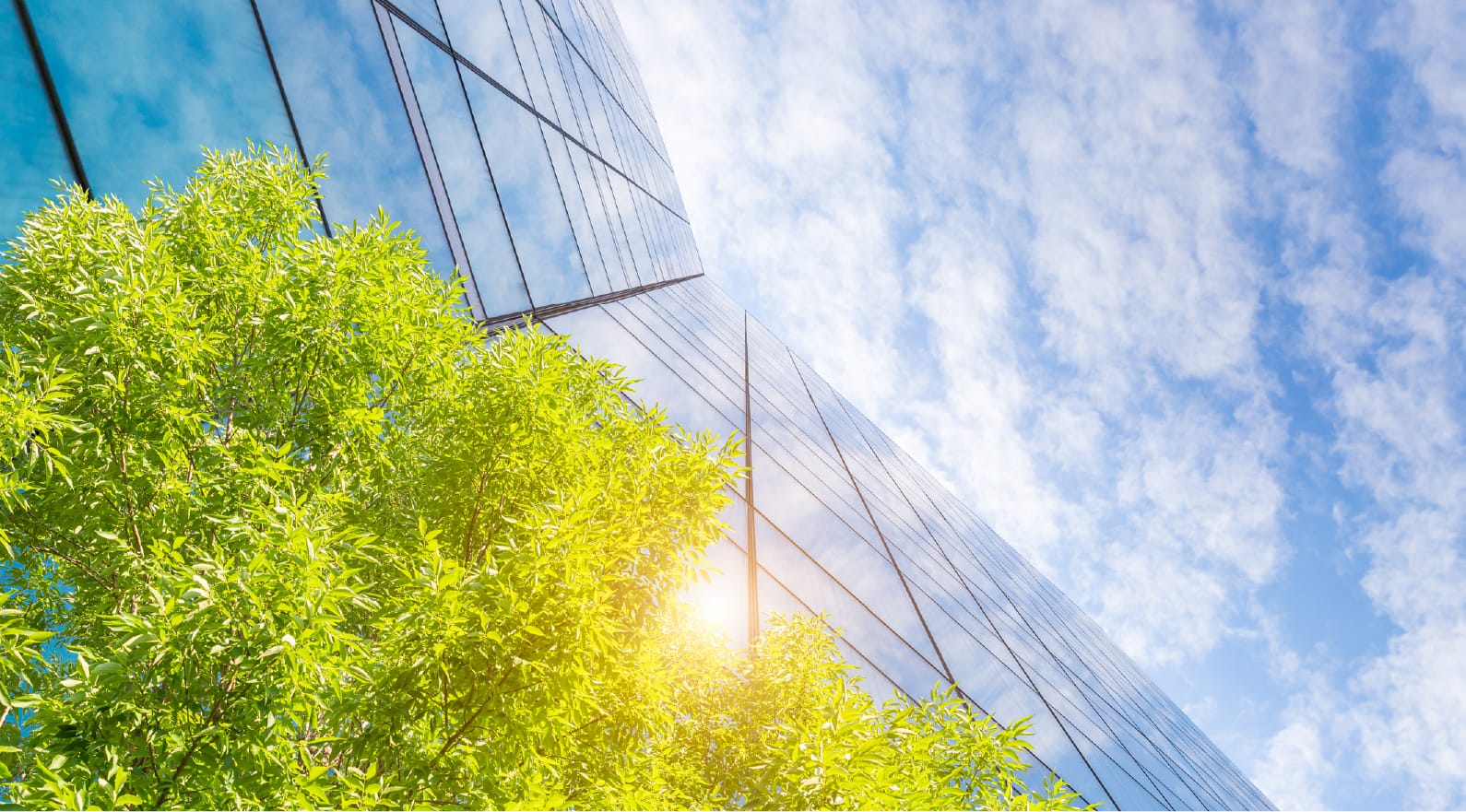 CSR Research Project | The Tokyo Foundation for Policy Research