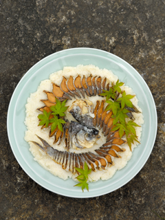 Funa Zushi | Research | The Tokyo Foundation