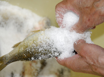 Funa Zushi | Research | The Tokyo Foundation