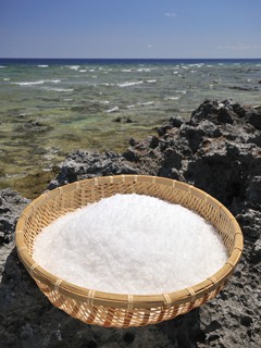 Sea Salt | Research | The Tokyo Foundation