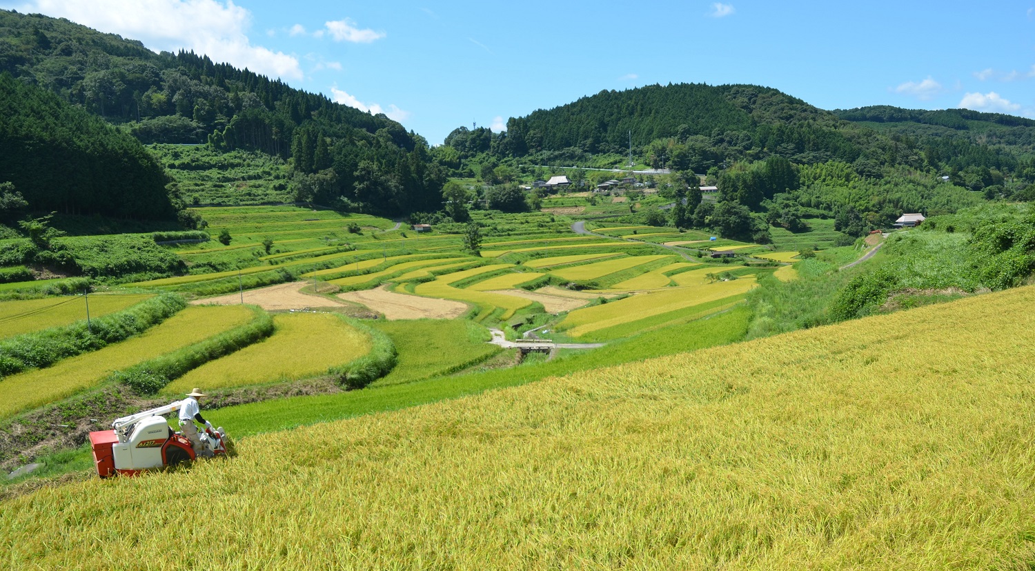 Tackling the Abandoned-Land Crisis: A View from the Front Lines of ...